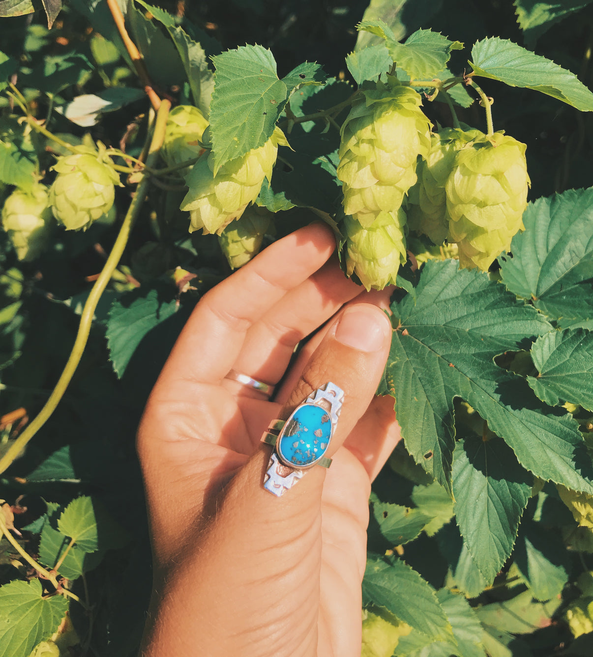 Spirit Moon│Herbal Sleep, Peace & Dream syrup Elixir – Xálish Medicines