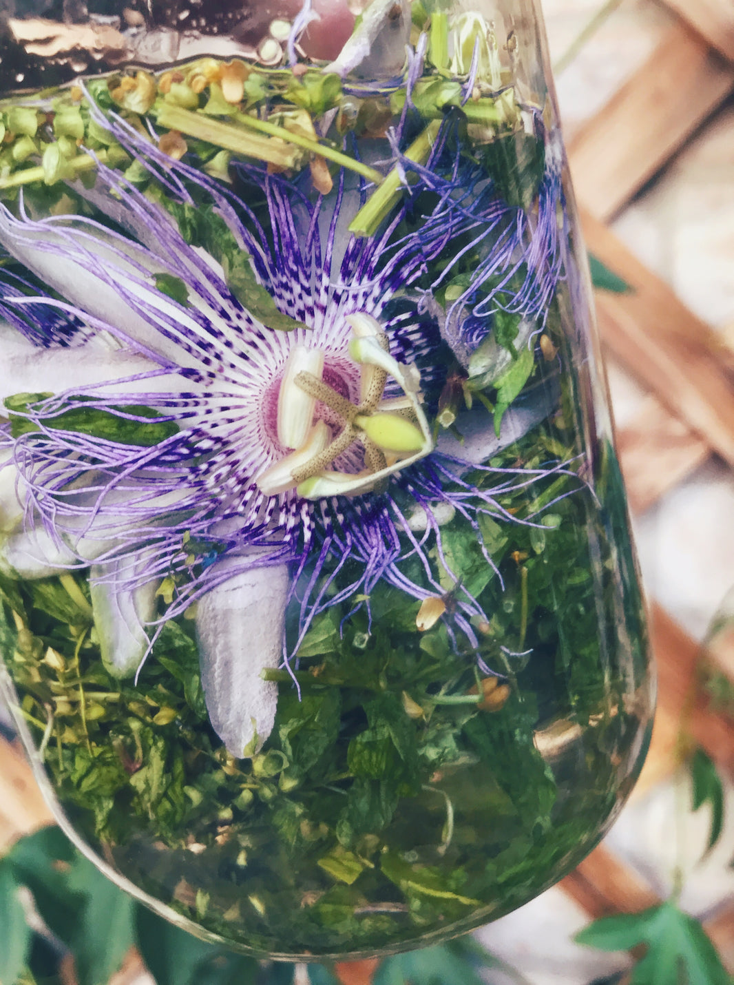 Shop All – Xálish Medicines